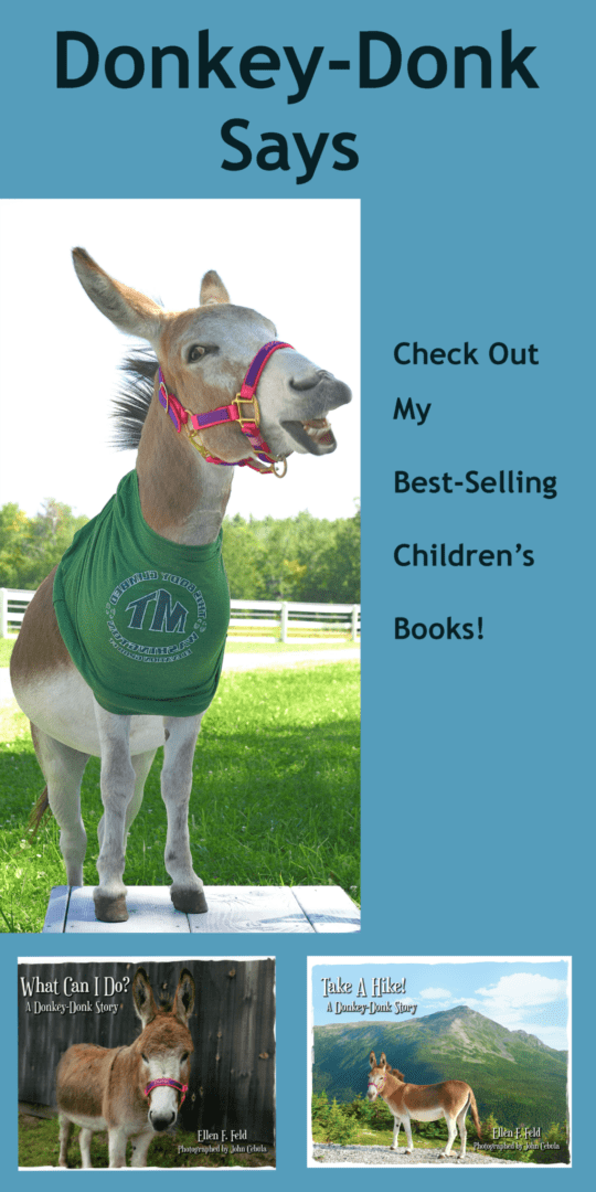 Children's Picture Books - Feathered Quill